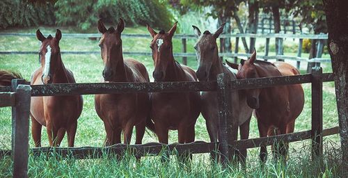 Prepare for a cyclone - Department of Fire and Emergency Services